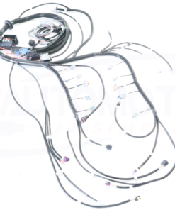 2005-2006 Gen IV E40 LS2 Standalone Harness H400