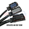 Gen IV E67 LSA/LS9 Standalone Harness H450